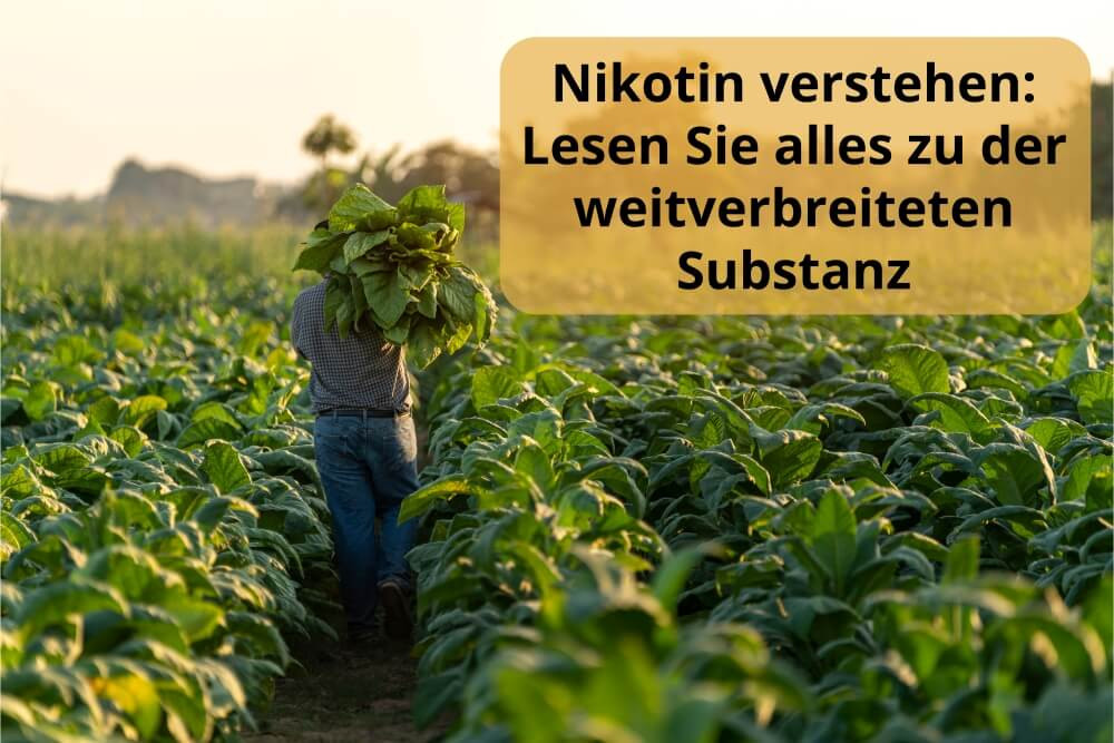 Woher kommt Nikotin? Wie wirkt es?